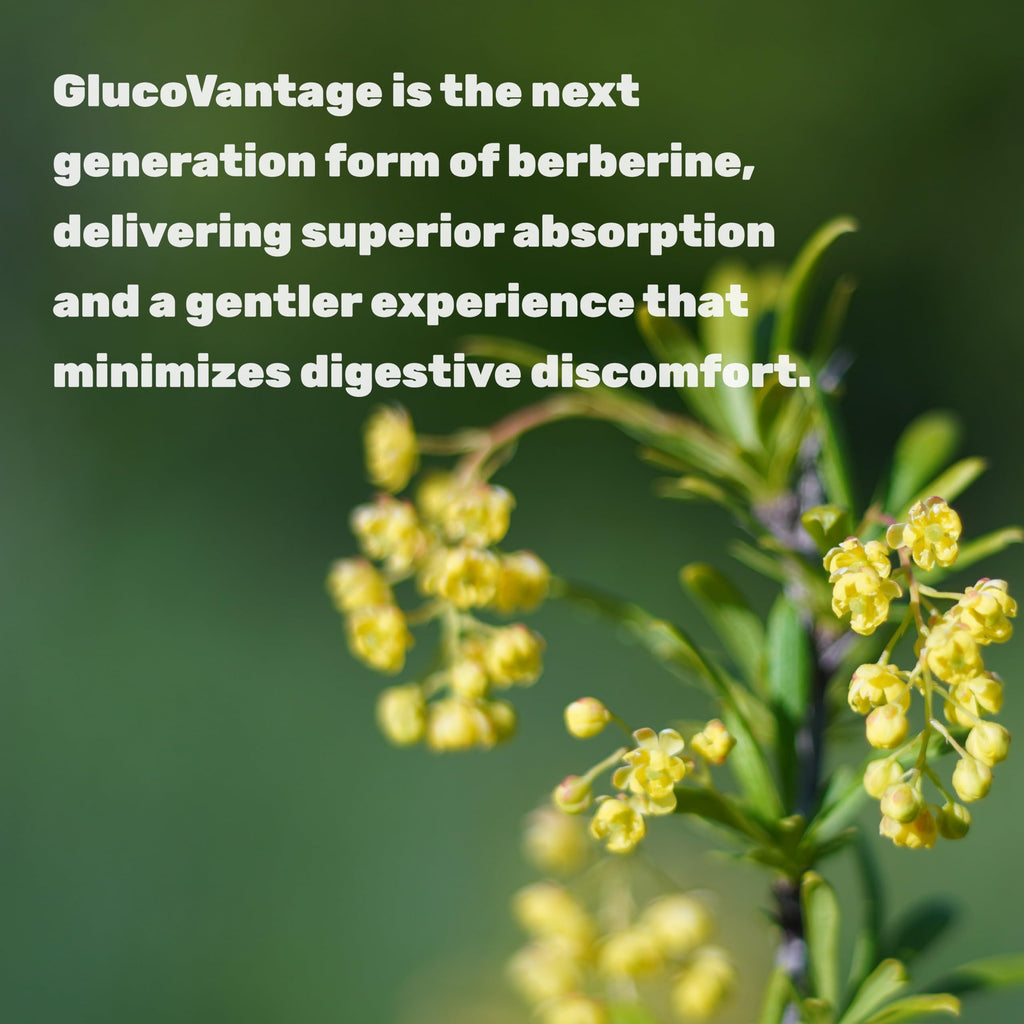 Vegan-friendly Dihydroberberine capsules