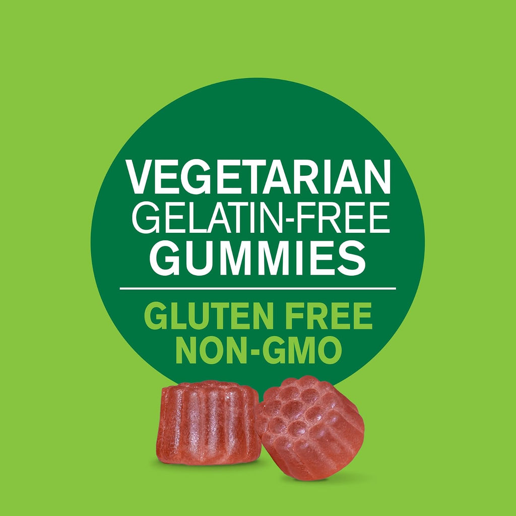 vegan-friendly elderberry gummies supplement