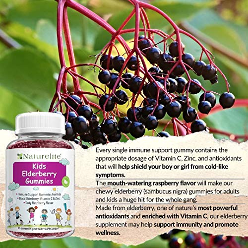Vegan-friendly elderberry gummies