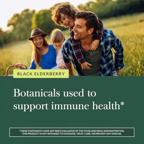 vegan-friendly elderberry gummy supplements