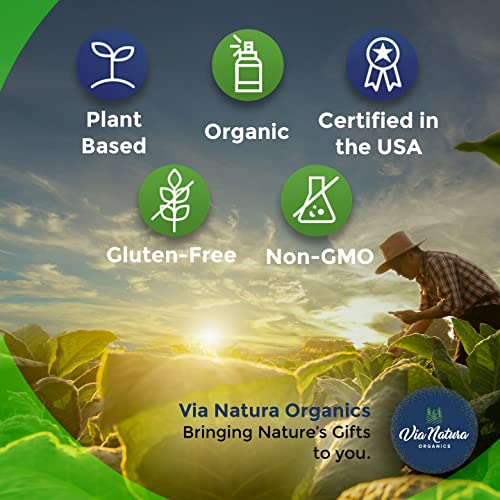vegan-friendly elderberry supplement option