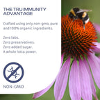 Vegan friendly elderberry supplements