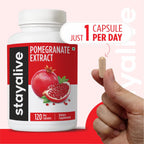vegan-friendly endurance energy capsules