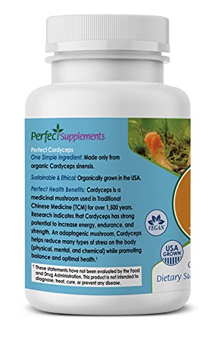 vegan-friendly energy supplement capsules