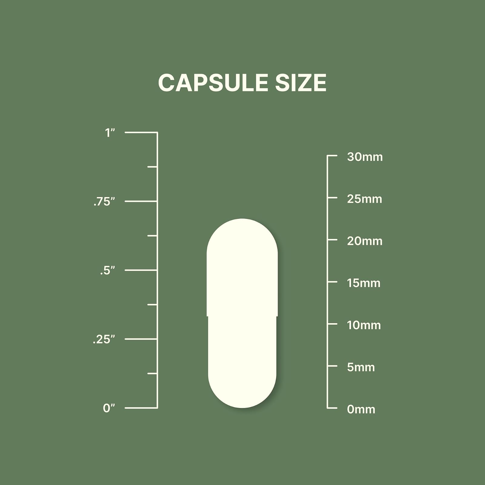 vegan-friendly enzyme capsules for wellness