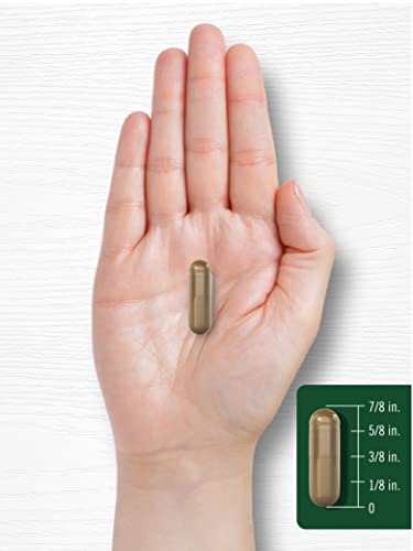 Vegan-friendly fennel seed supplement
