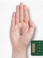 Vegan-friendly fennel seed supplement