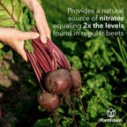 vegan-friendly fermented beet supplement