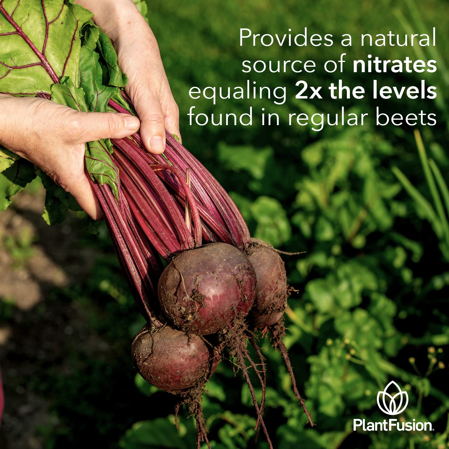 vegan-friendly fermented beet supplement