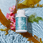 vegan-friendly fish oil alternative