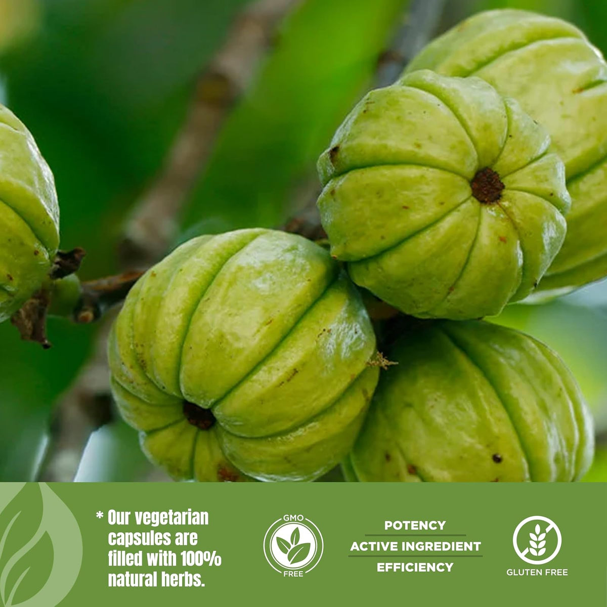vegan-friendly Garcinia Cambogia dietary supplement