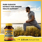 vegan-friendly giloy capsules