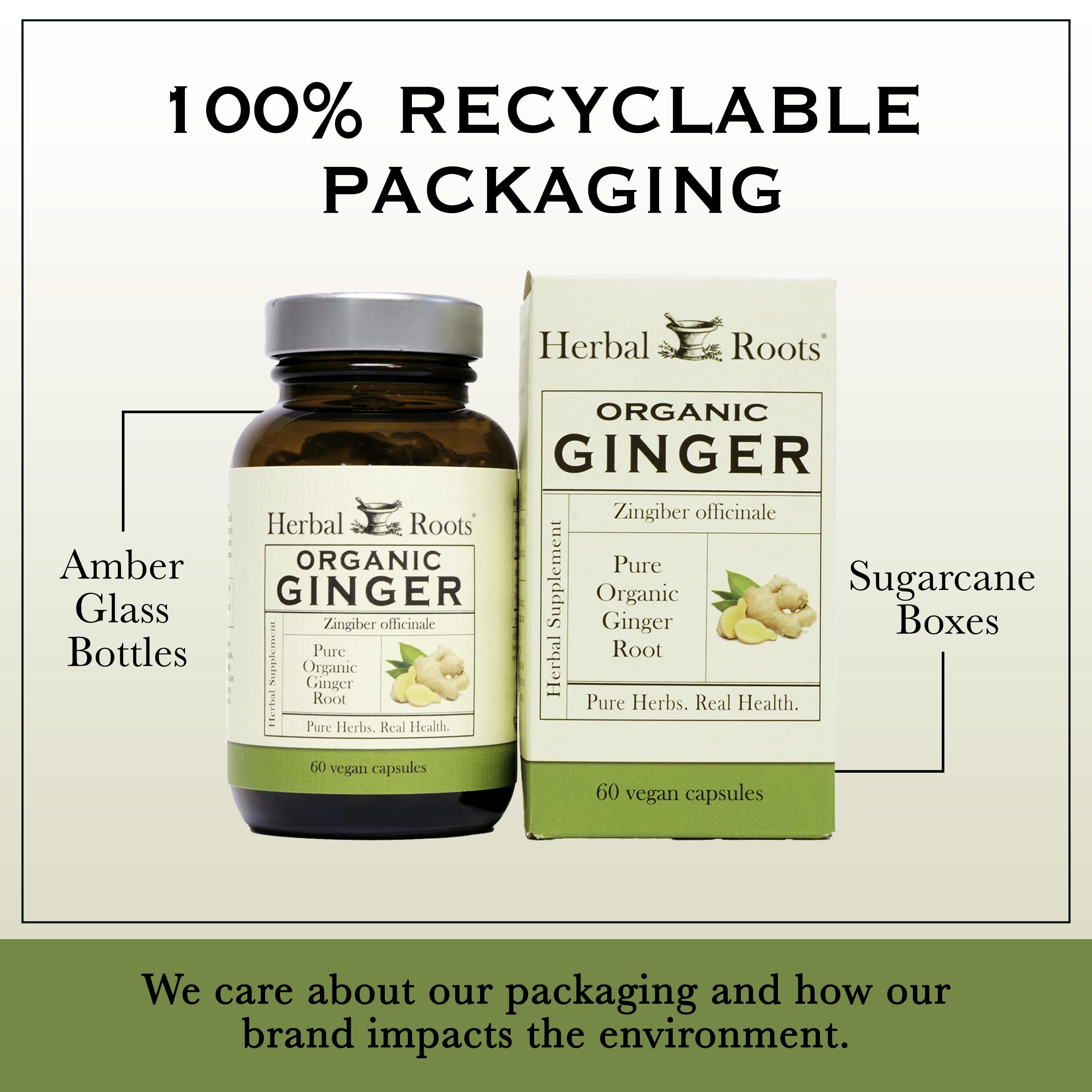 vegan-friendly ginger capsules for vitality