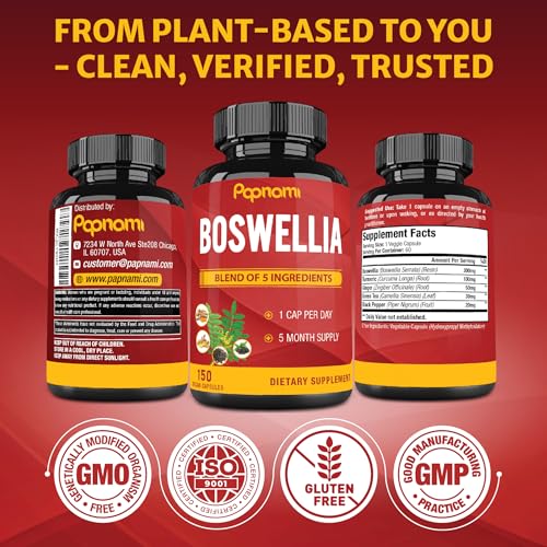 vegan-friendly ginger supplement option