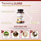 Vegan-friendly ginger tea capsules
