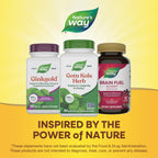 Vegan-friendly Gotu Kola capsules for health