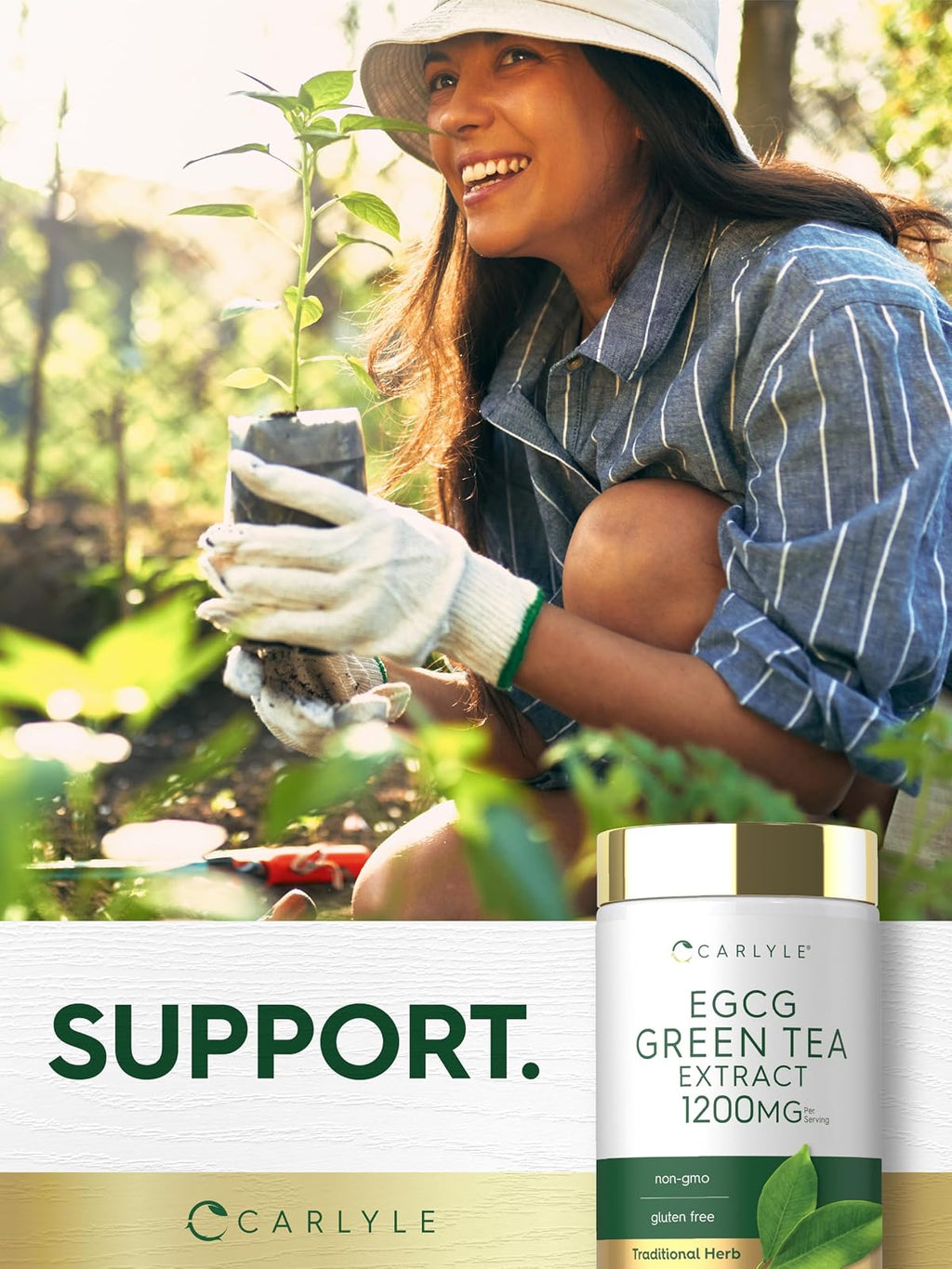 vegan friendly green tea extract
