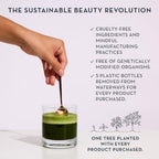 vegan-friendly greens powder mix