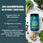 vegan-friendly greens powder supplement