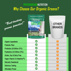 vegan-friendly greens powder supplement