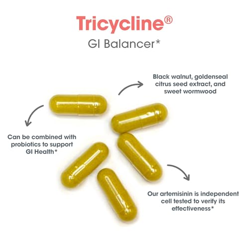 vegan-friendly gut health supplement
