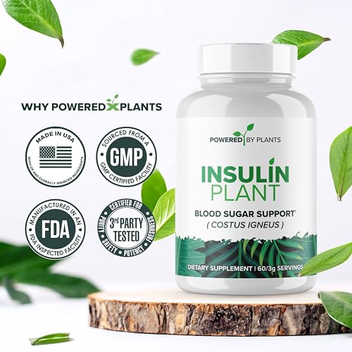 Vegan-friendly health supplements for everyone