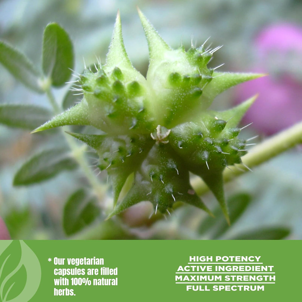 Vegan-friendly herbal capsules