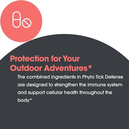 vegan-friendly immune support capsules
