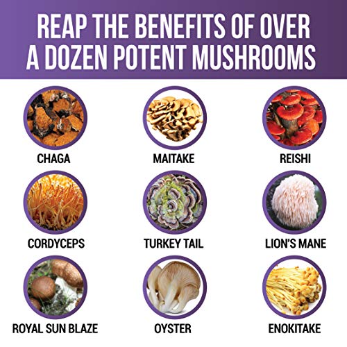 vegan-friendly immune support