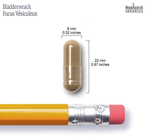 vegan-friendly iodine from bladderwrack