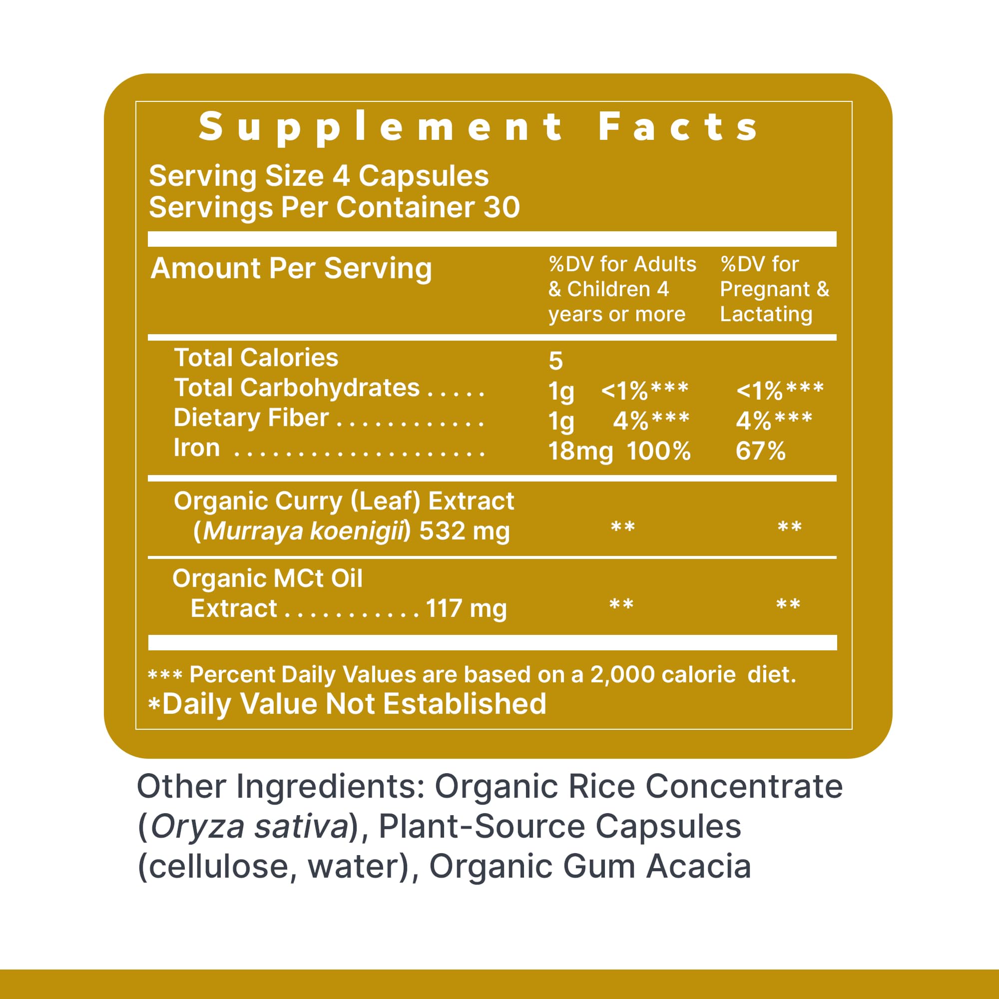 vegan-friendly iron for nutritional support