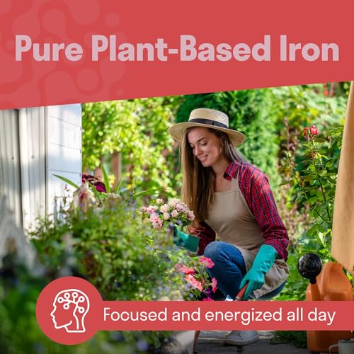 vegan-friendly iron supplement option