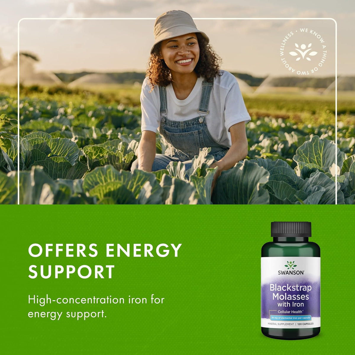 vegan-friendly iron supplement option