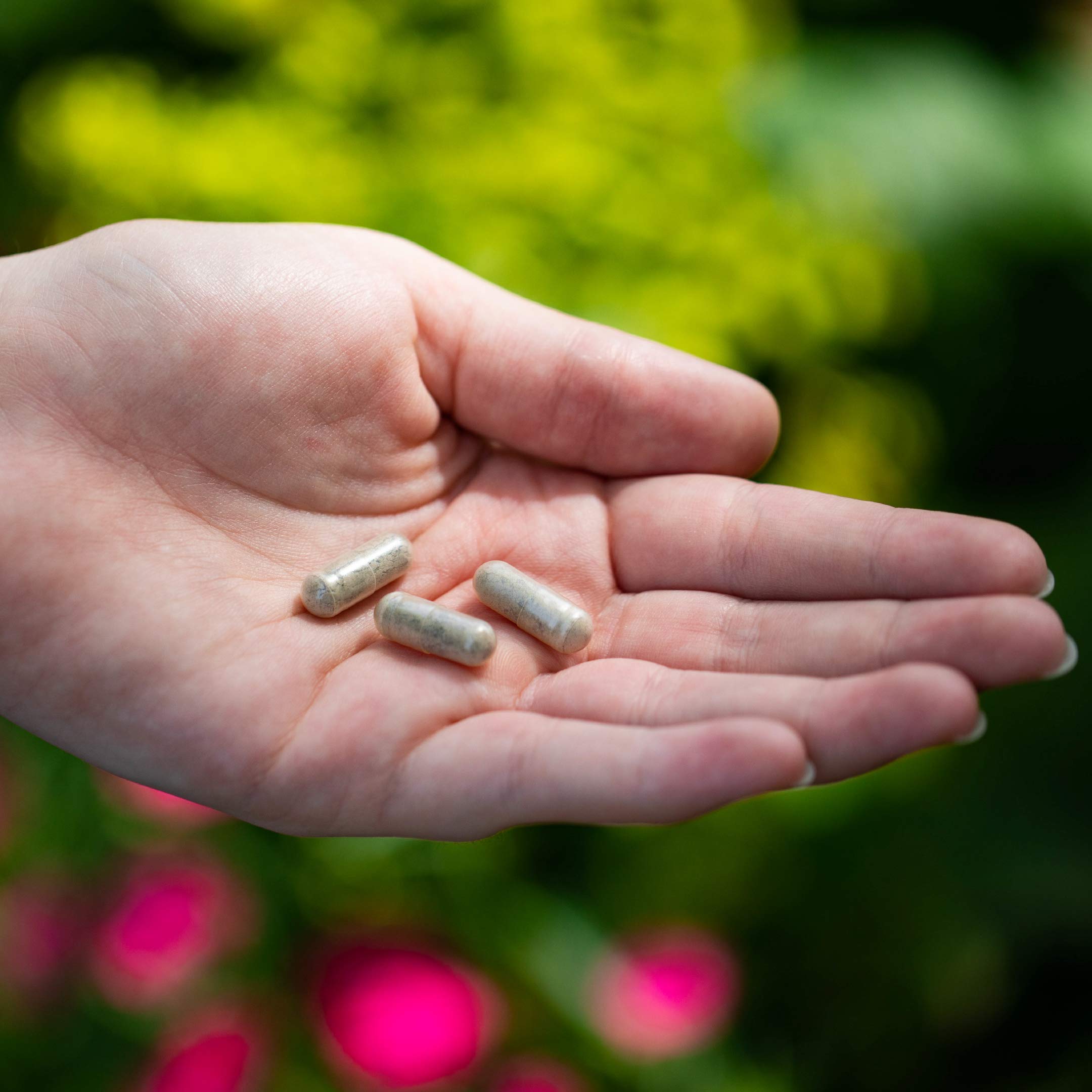 vegan-friendly iron supplement option