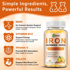 vegan-friendly iron supplement option