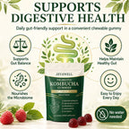 vegan-friendly kombucha gummies supplement