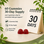 vegan-friendly kombucha gummy supplements