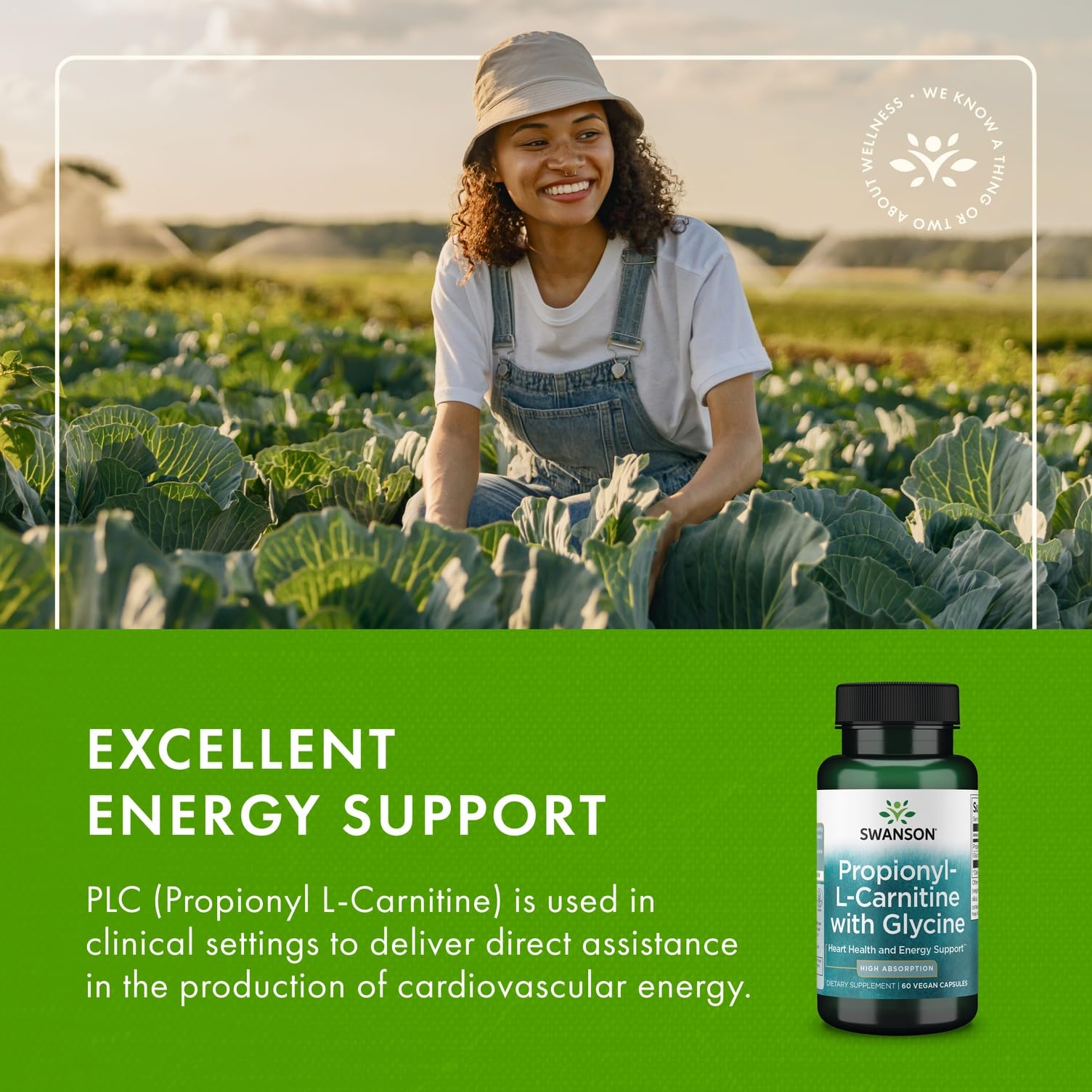 Vegan-friendly L-Carnitine supplement