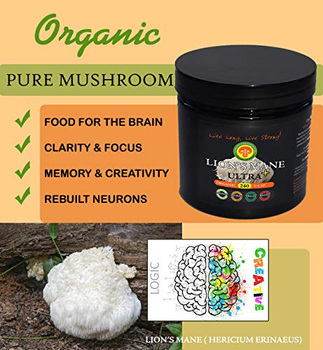 vegan-friendly lion's mane capsules