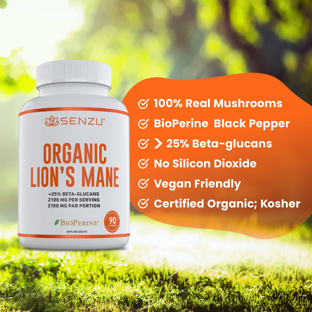 vegan-friendly lion's mane capsules