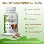 Vegan-friendly Lion's Mane capsules