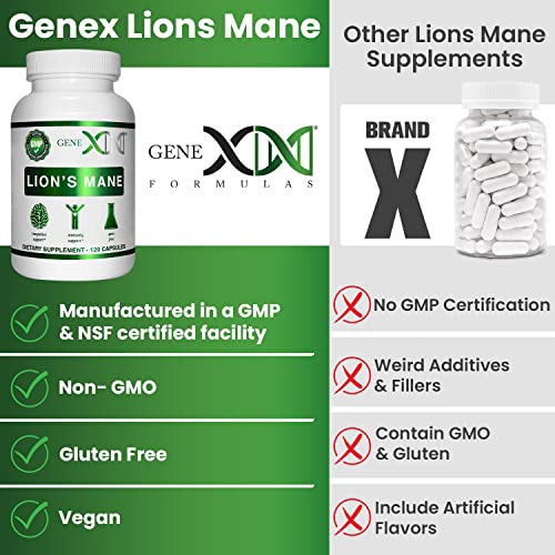 Vegan-friendly Lion's Mane for energy