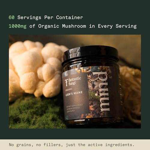 vegan-friendly lion's mane mushrooms