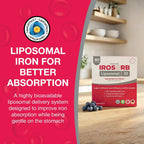 Vegan-friendly liposomal iron solution