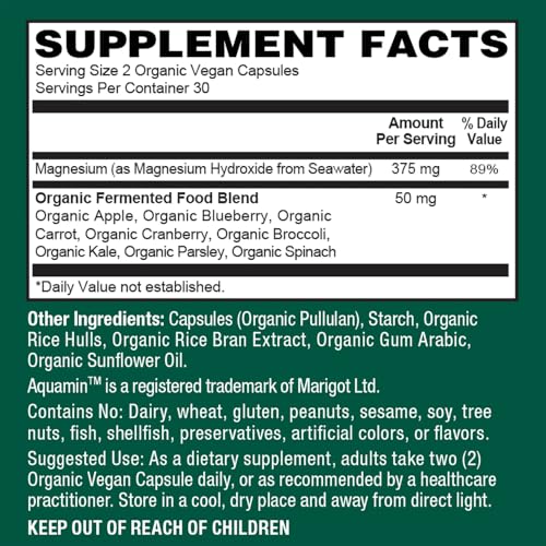 vegan-friendly magnesium for overall health