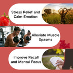 vegan-friendly magnesium glycinate supplement