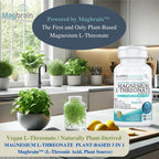 vegan-friendly magnesium L-threonate capsules