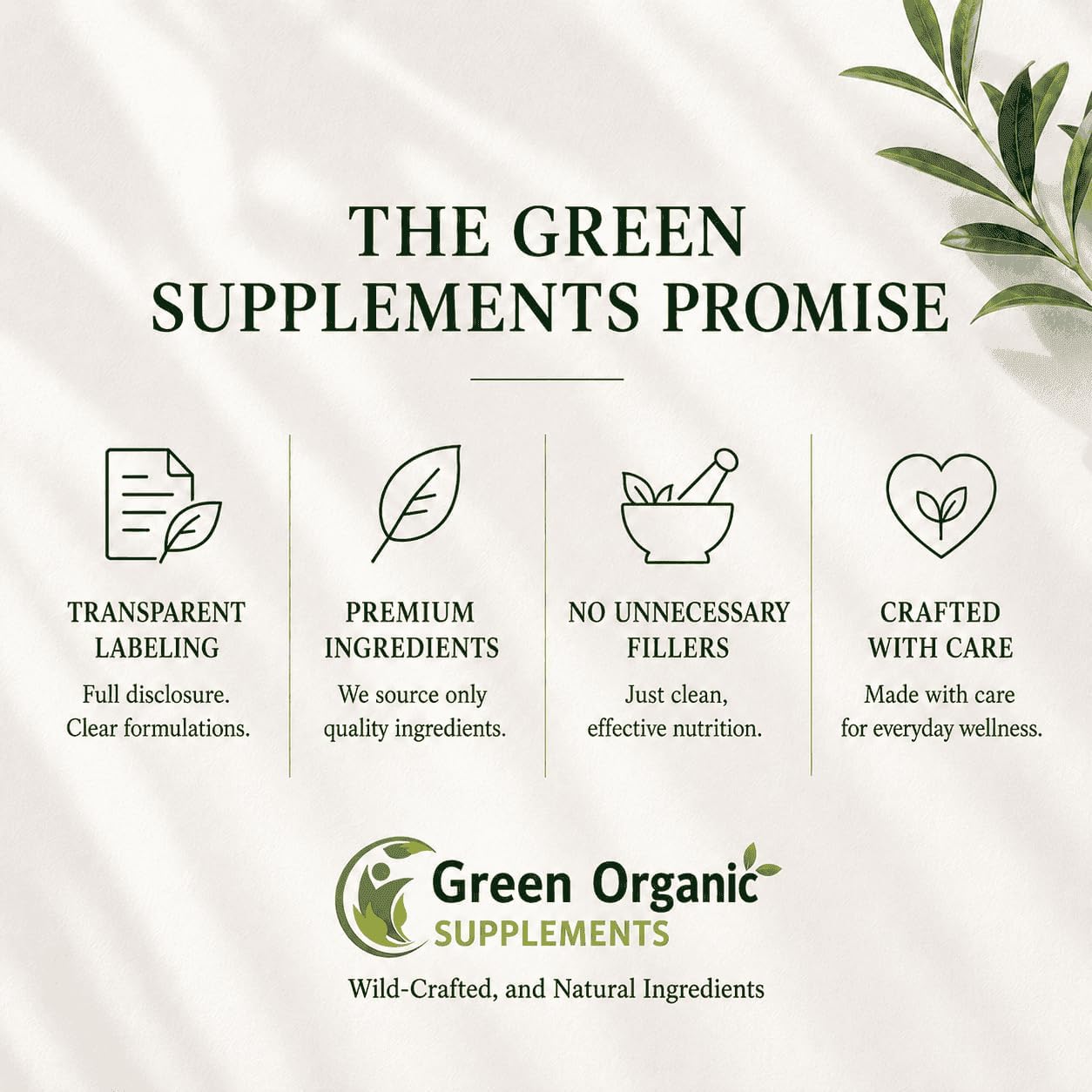 Vegan friendly magnesium L-Threonine capsules
