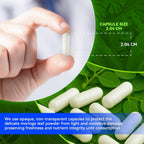 Vegan-friendly moringa extract capsules