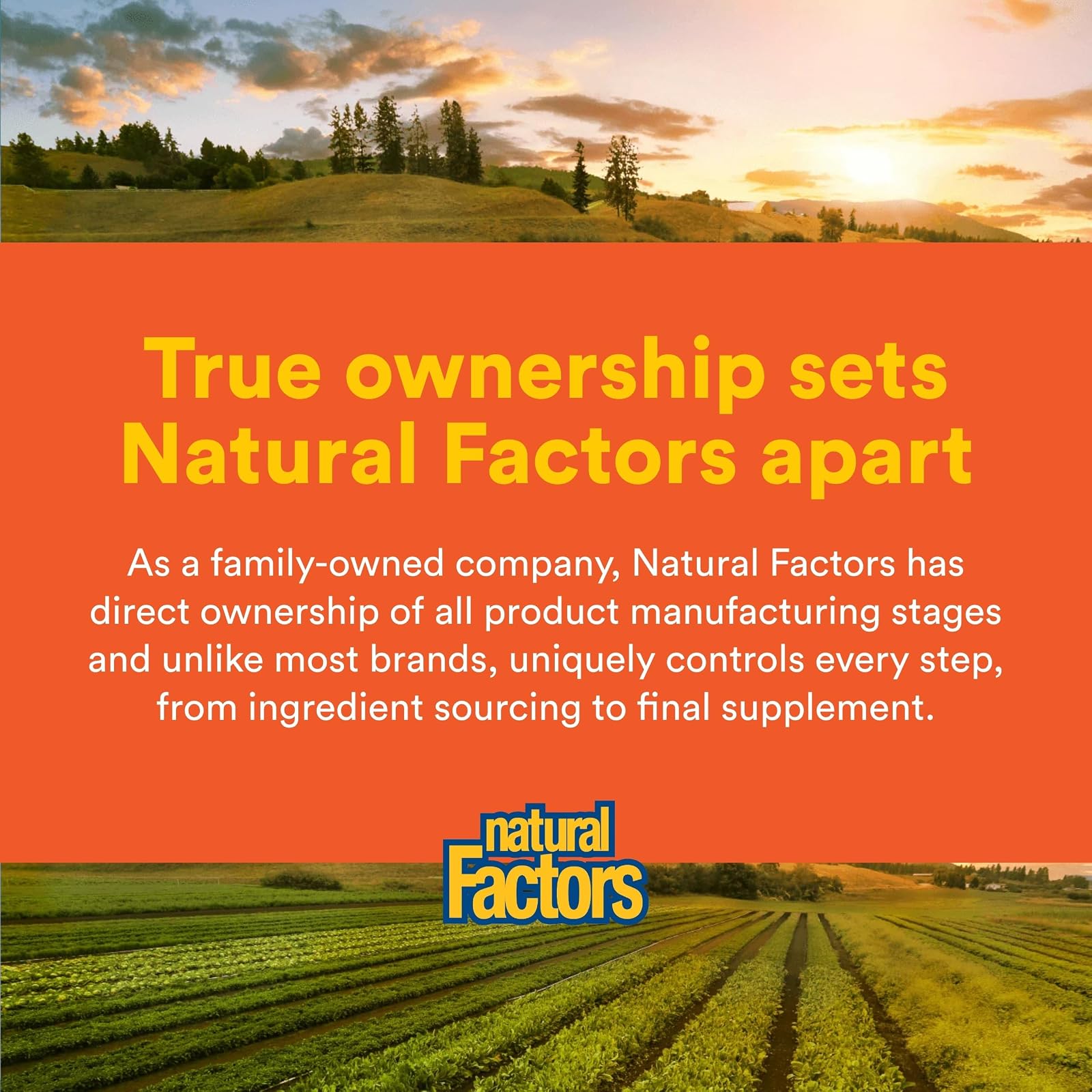 vegan-friendly msm joint support